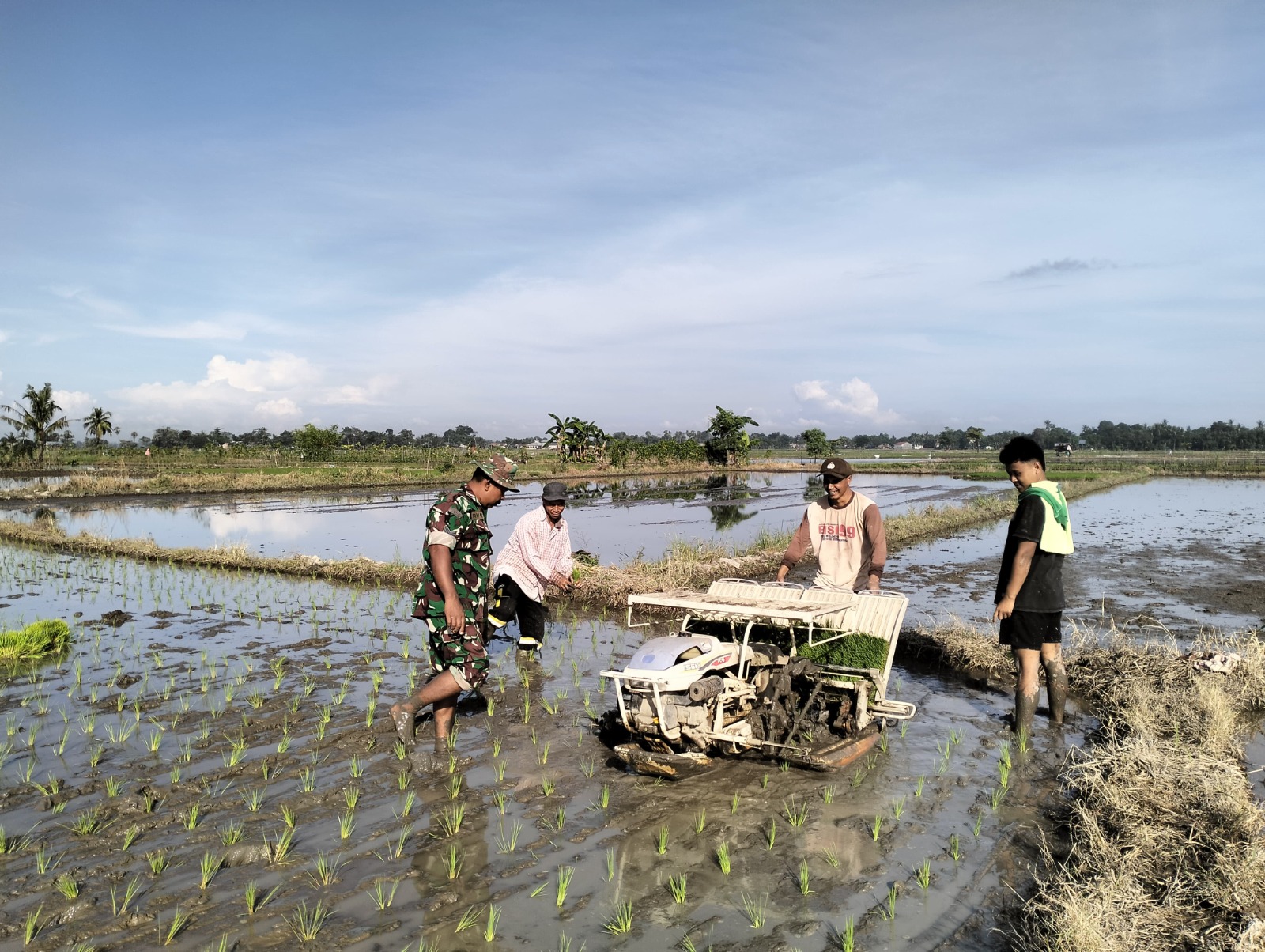 Babinsa Dampingi Petani Menggunakan Alat Mesin Tanam Padi | Tulisan Pers